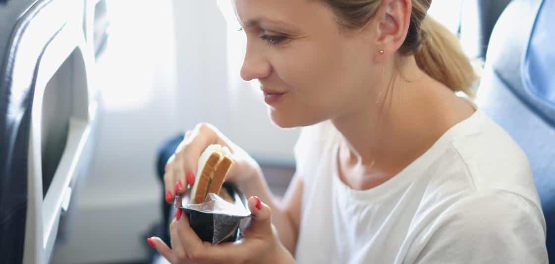 What Food Can You Bring on an Airplane? (through TSA) – Go Every Corner!