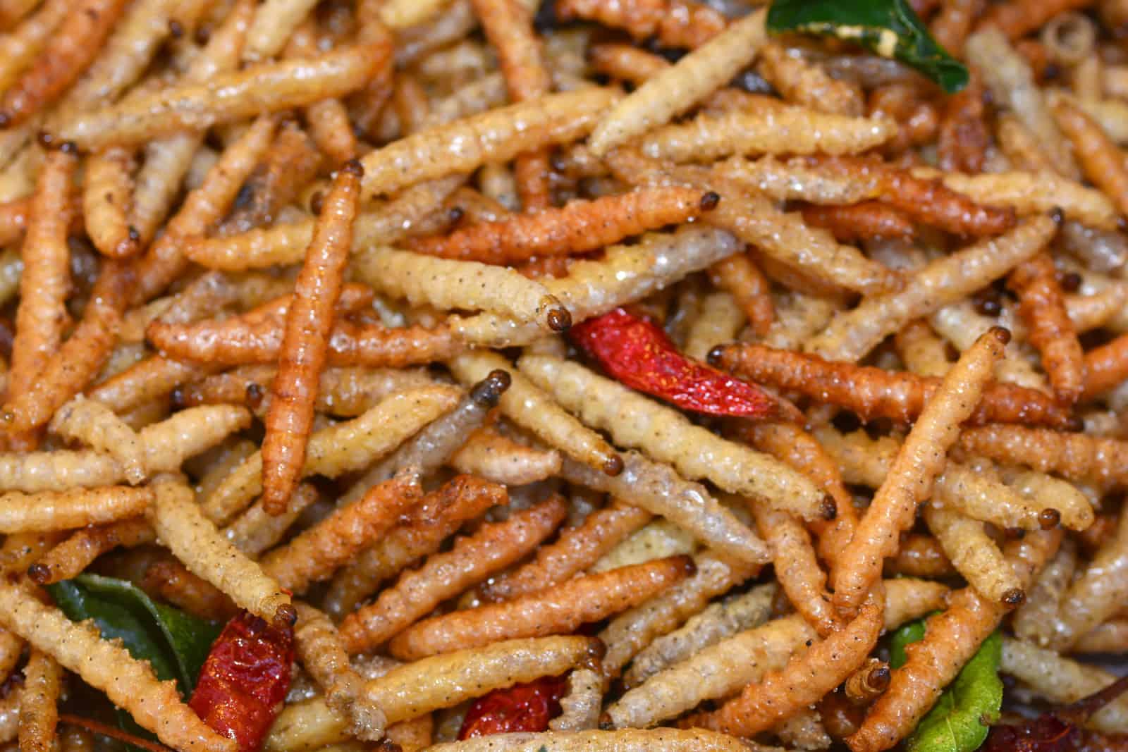 Do They Eat Insects In Vietnam? – Go Every Corner!