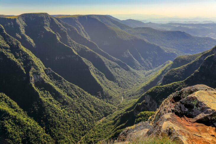 The 3 Major Rainforests in Brazil (Starting Points and Activities) – Go ...